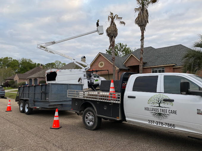 Acadian Cultural Center: Celebrating Cajun Heritage - Hollands Tree Care